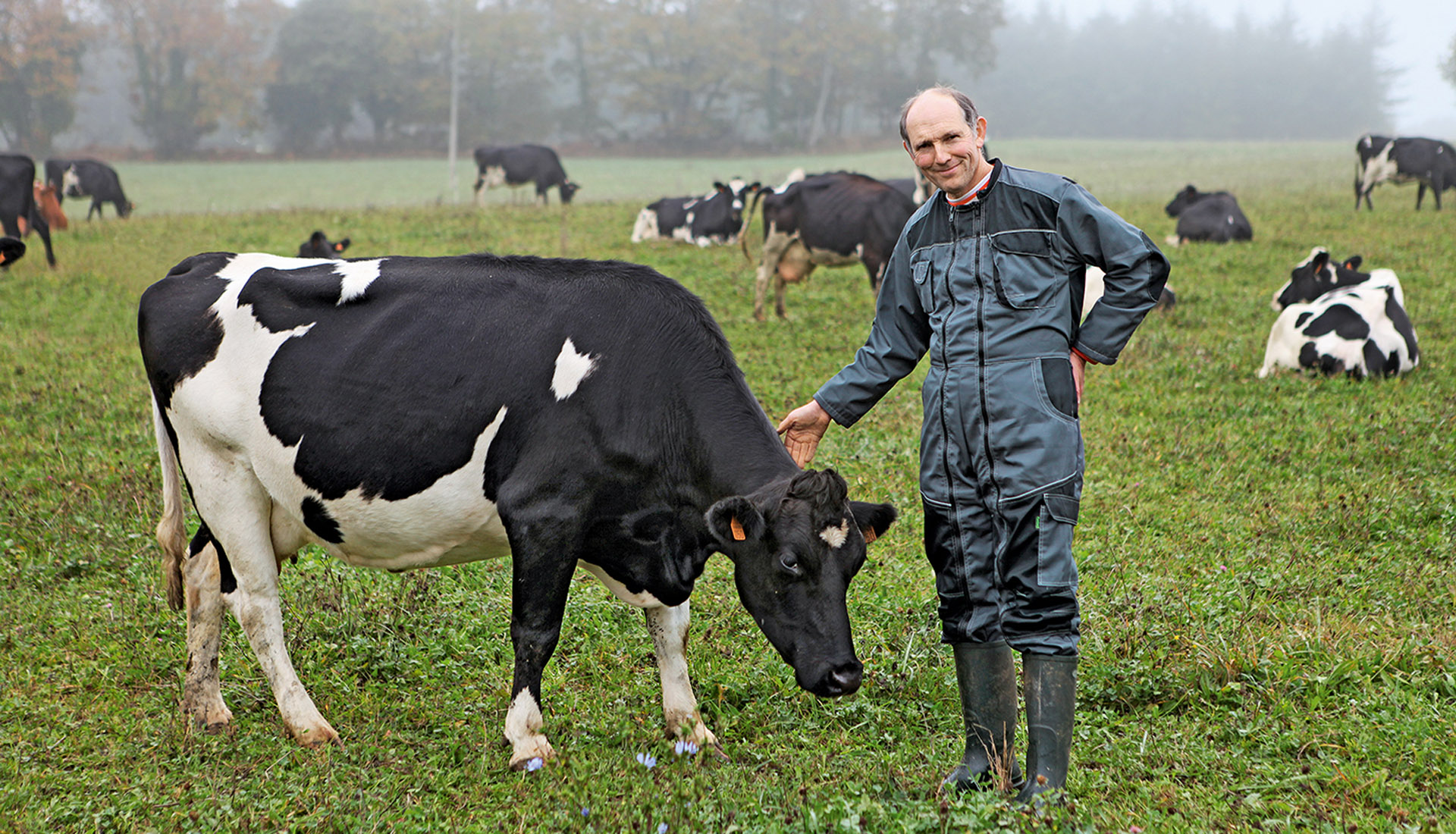 Weidewirtschaft kann sich wieder lohnen - FLUR & FURCHE