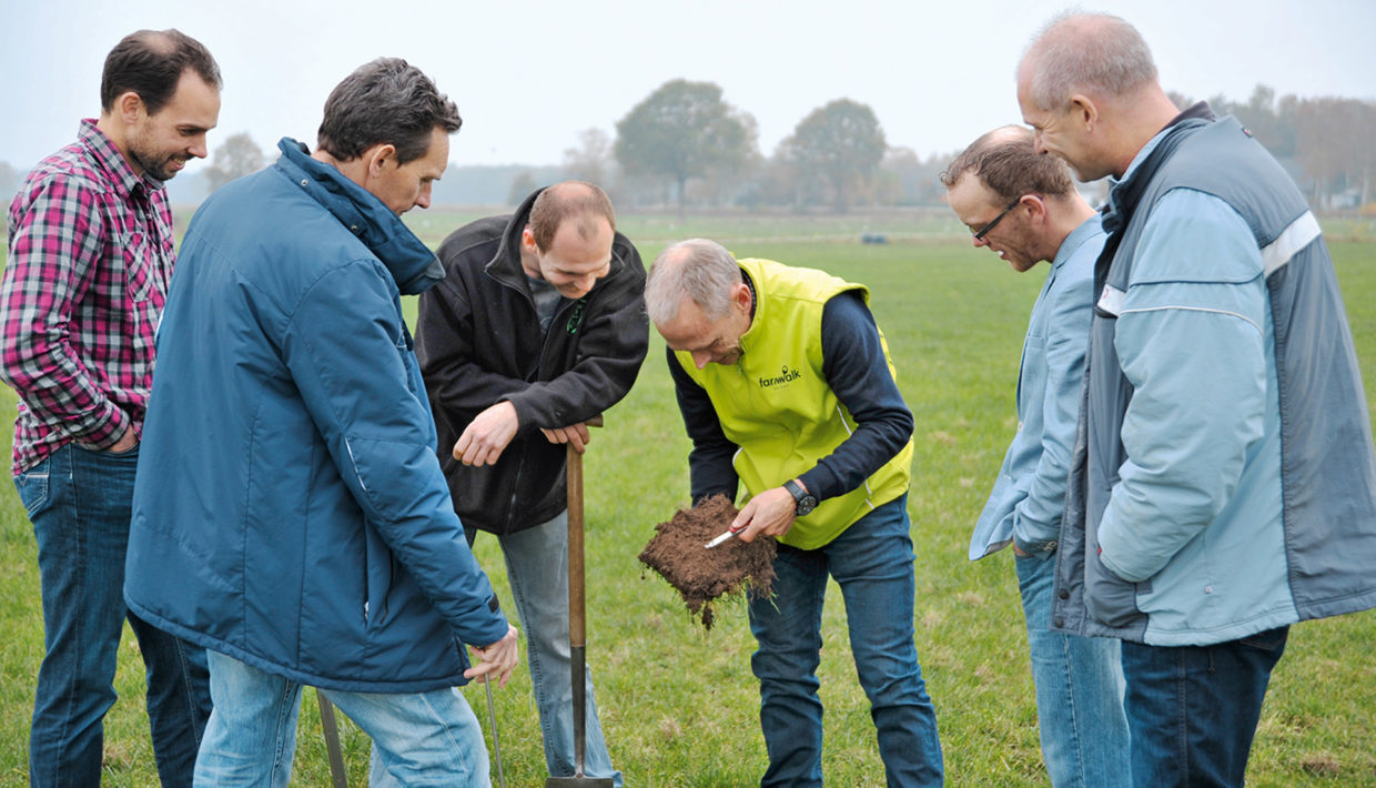 Weidewirtschaft kann sich wieder lohnen - FLUR & FURCHE